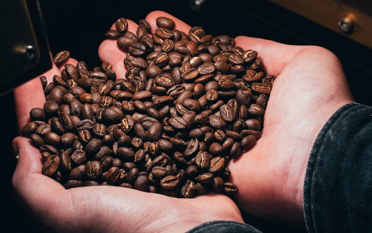 Specialty Coffee For Everyone – Hermit Coffee